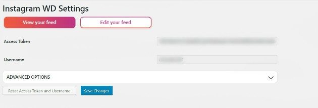 Adding & Embedding Instagram Content on WordPress | WP Engine®