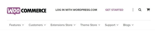 WordPress for eCommerce: Everything You Need To Know